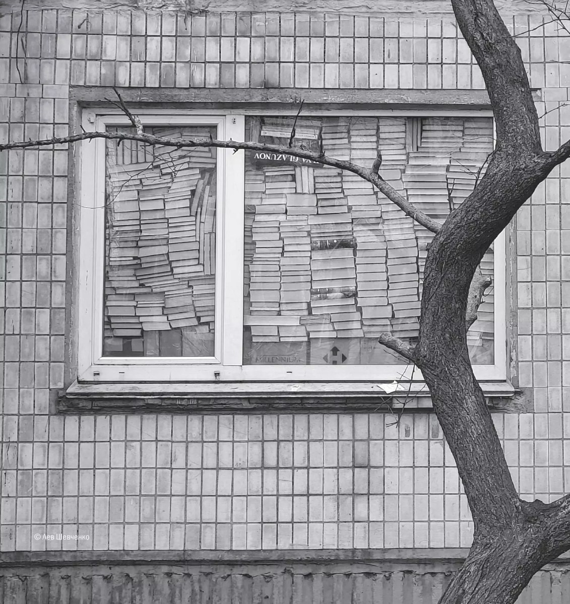 Čitalačka 2022: maj-juni – Divna Popov