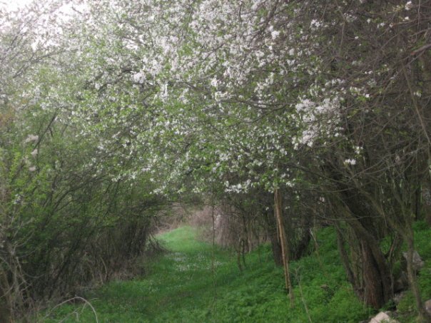 Putovanja petkom: Uklete kuće Stare planine – Divna Popov